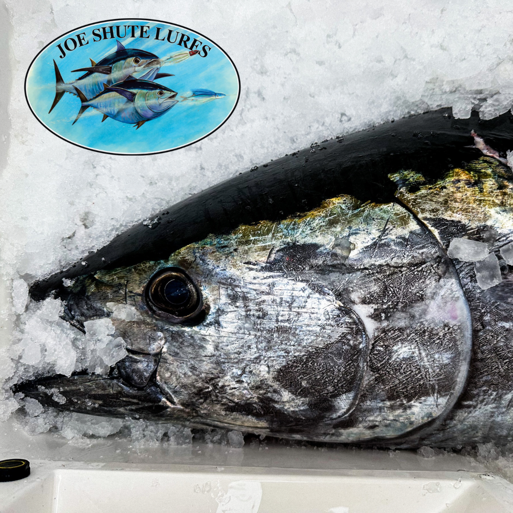 Tuna – Magictail Outfitters